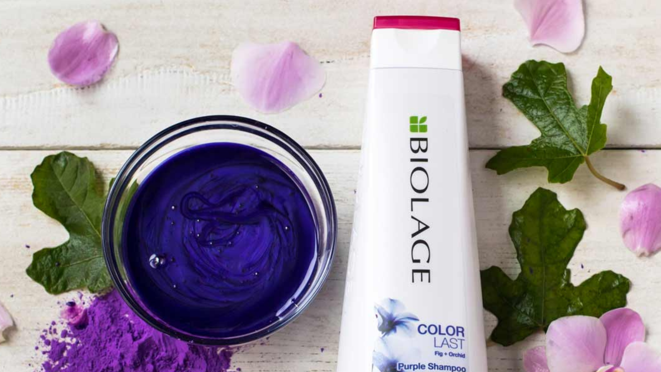 Purposeful Facts You Need to Know About Purple Shampoo